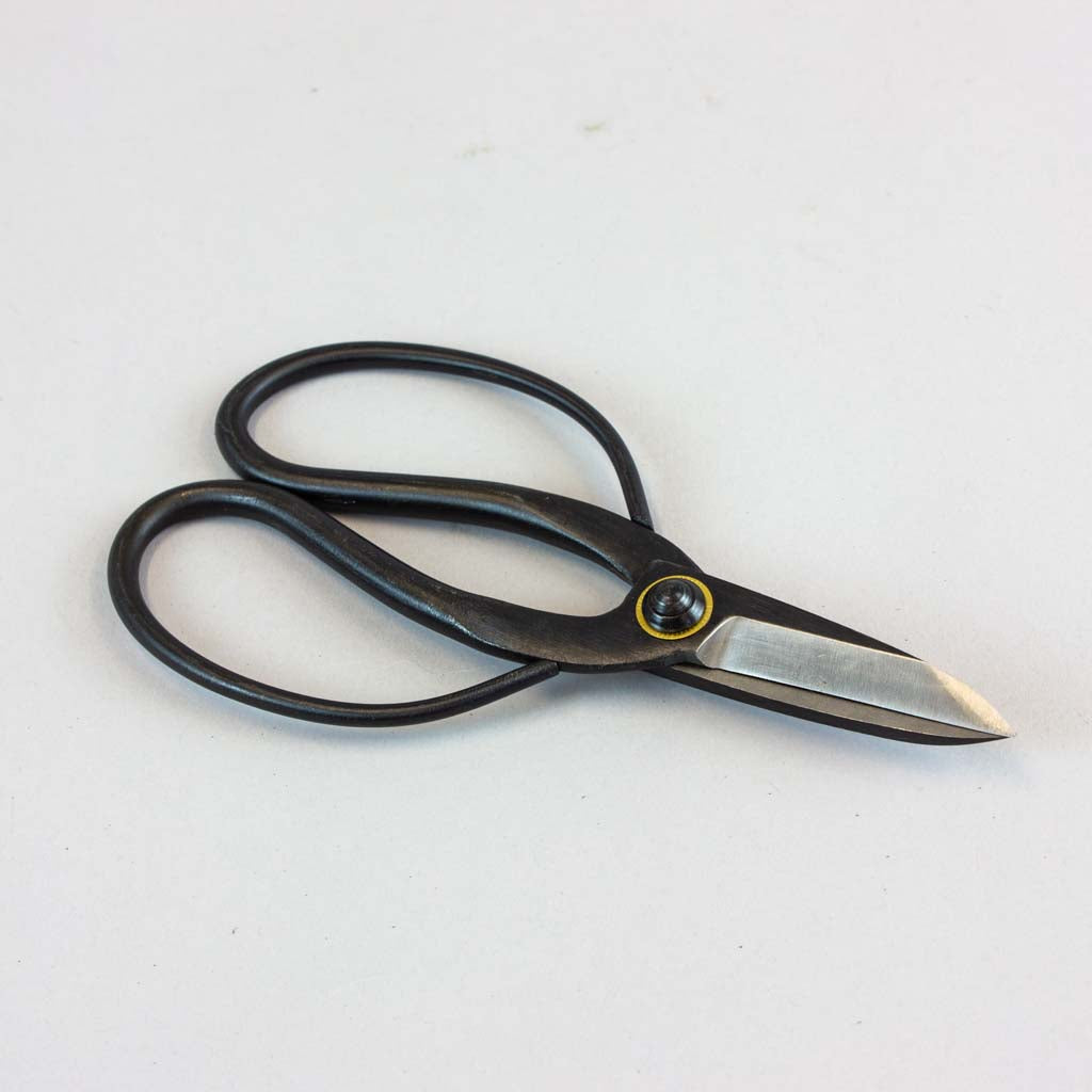 Ciseaux de Jardin pour Plantes: Taillez avec Précision | Bloombox FR ...