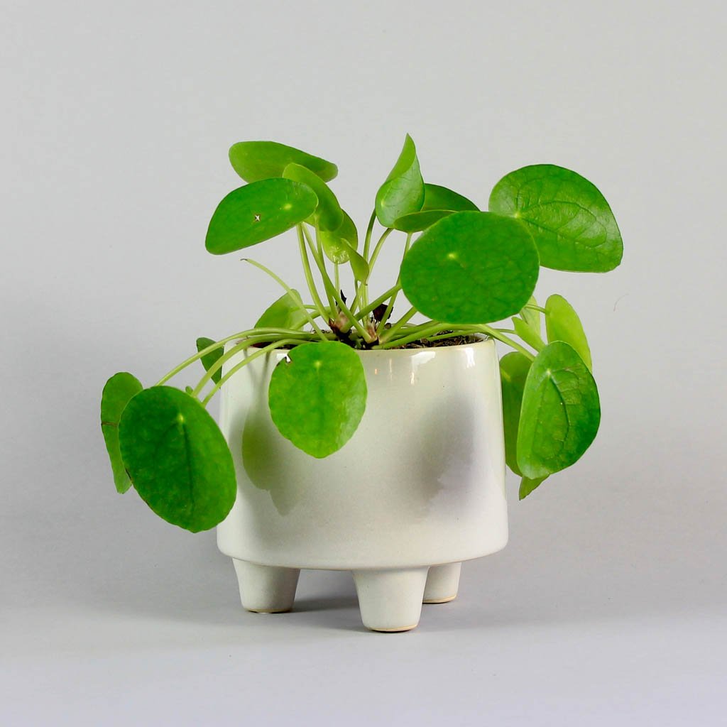 Pots 'Troïka' 2 couleurs – Bloombox Club FR